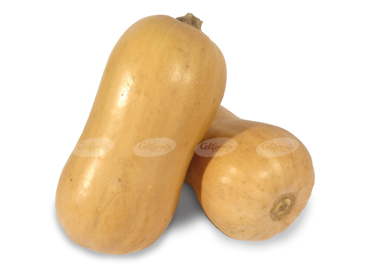 CALABACITA kg. - California S.A.